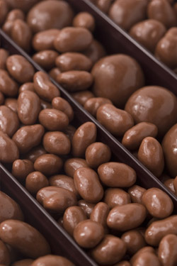 GUILD ENTERPRISES | Product Management | Panned Chocolate